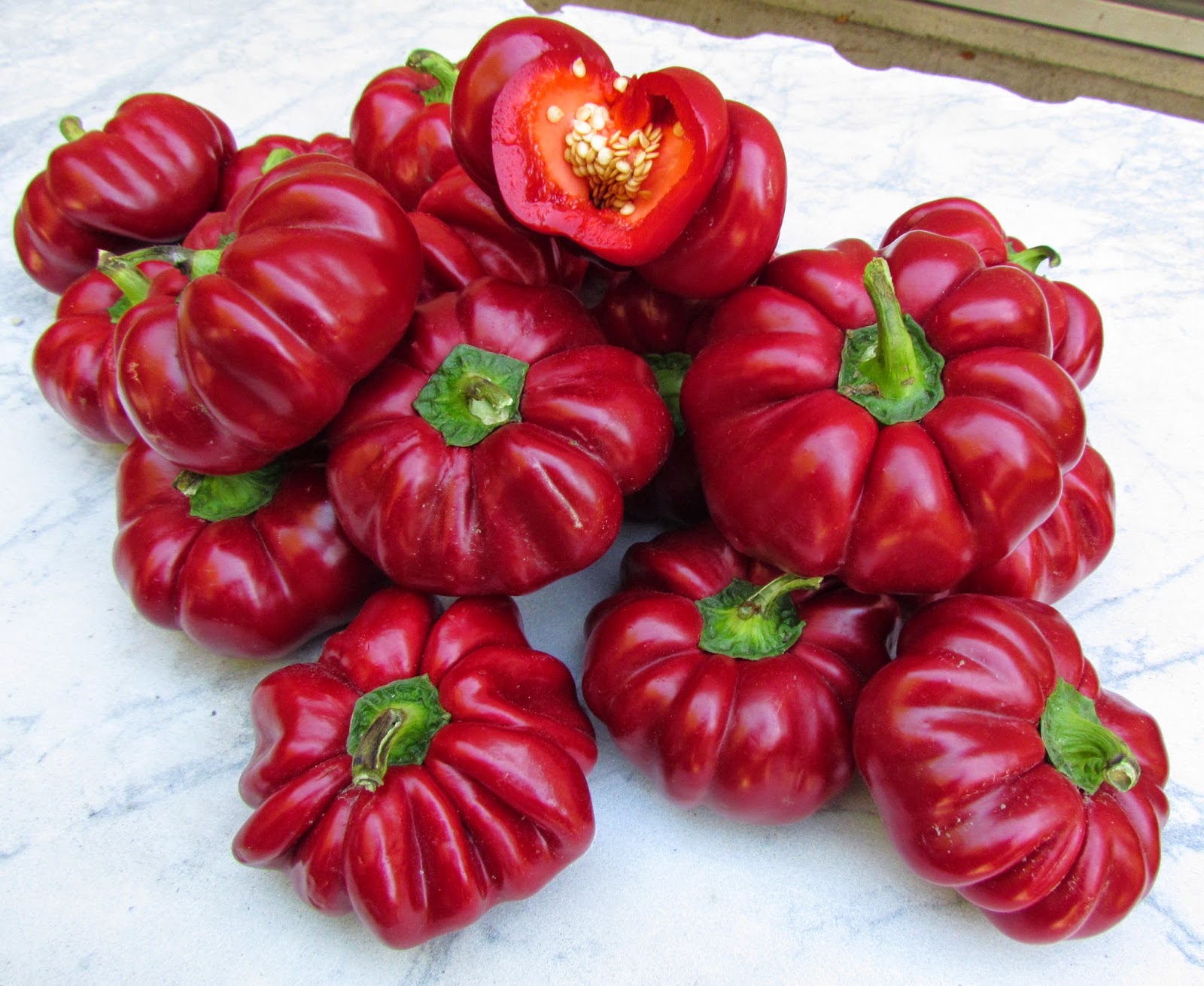 Seed Revolution Now!: Red Ruffled Pimiento