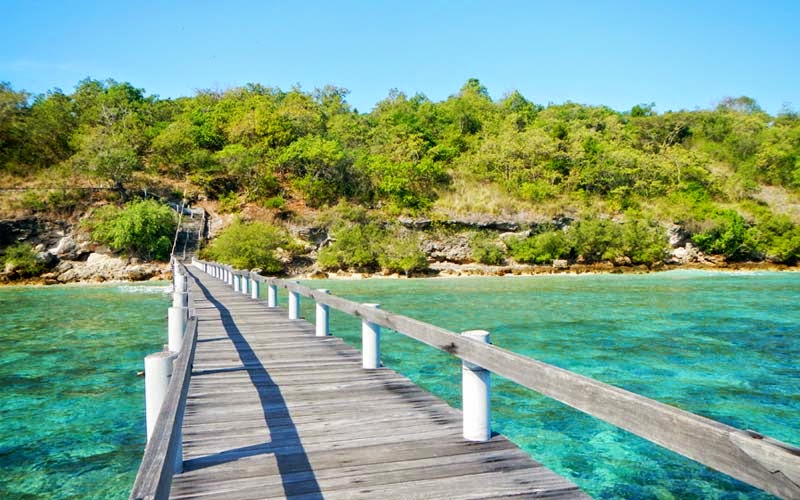 Pulau Menjangan, Keindahan Lain Pulau Dewata