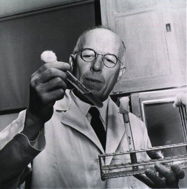 Honest Ab: Evolution and Related Topics: Thinking Back on René Dubos ...