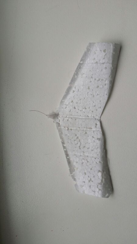 Nelson's Foam Airplanes: How to make a Styrofoam paper airplane? ˋ/ㄧ