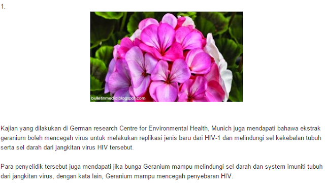 Menakjubkan !!! Bunga Pelik Ini DiKatakan Mampu Menyembuhkan Penyakit ...