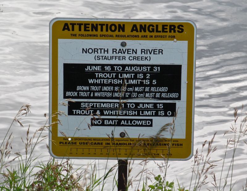 Central Alberta Fly Tying Club: Habitat Work on the North Raven River