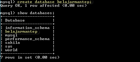Konfigurasi Data Base Server Windows server 2012 r2 (MYSQL)