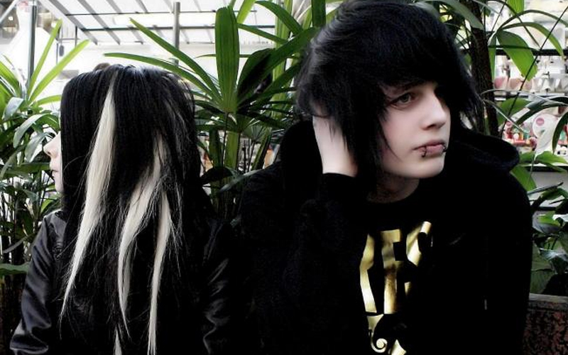 LOS EMOS: SU ECONOMIA