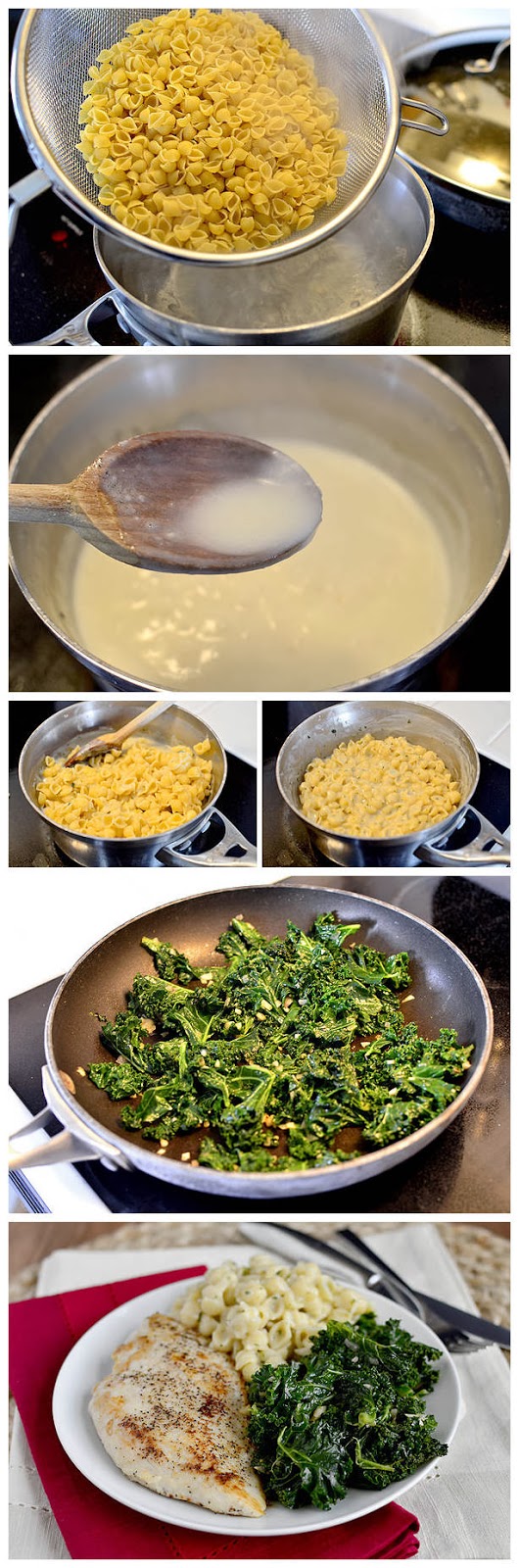 Creamy Garlic Shells - Red Star Recipe