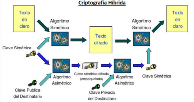 Seguridad informática: criptografía y como se usa en httpS