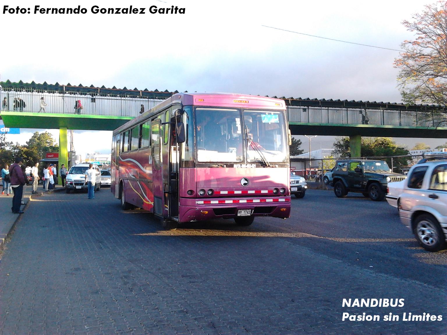 nandibus: Buses por todo lado parte 1