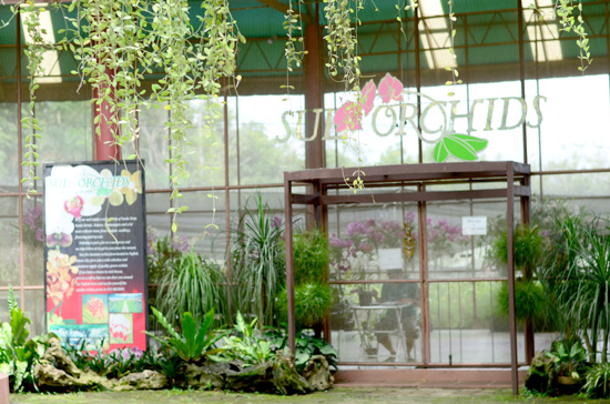 DAY TOUR AT SUL ORCHIDS FARM DAVAO - Woman Elan Vital | Davao Lifestyle ...