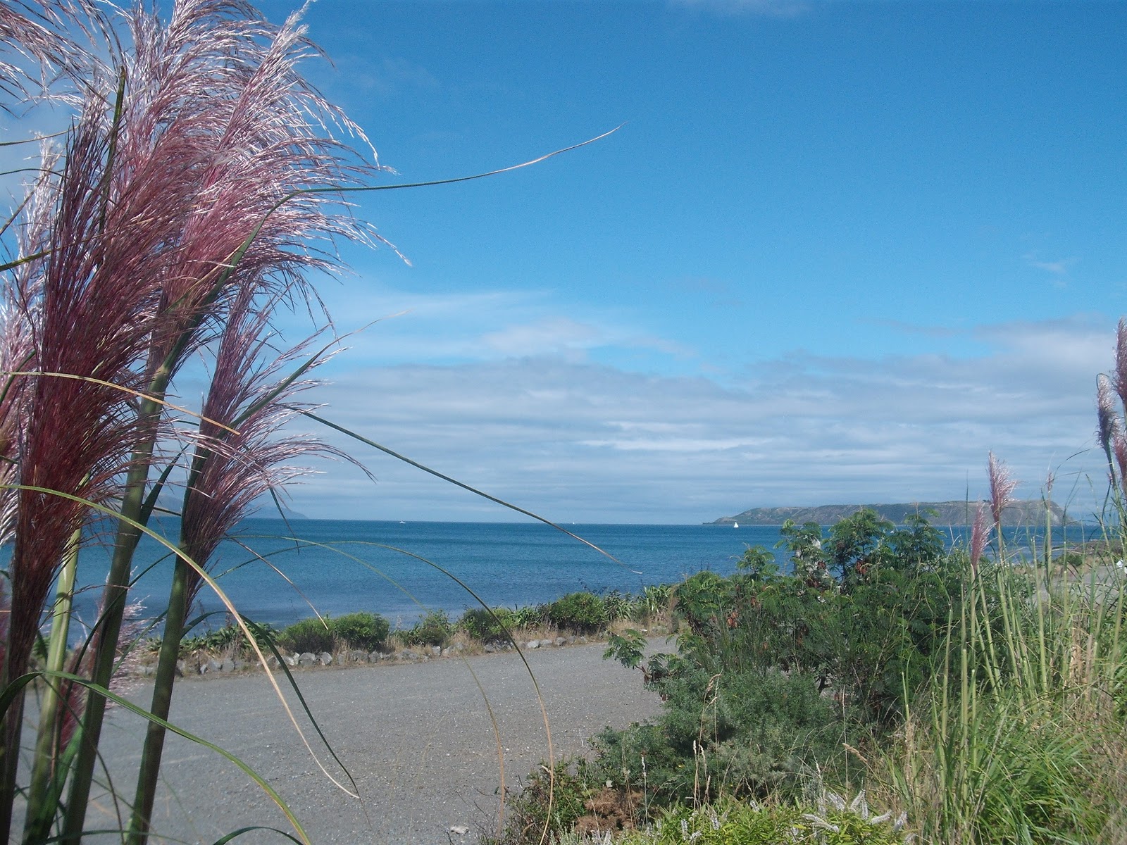 Neuseeland und Ich: Von Hongoeka Bay nach Pukerua Bay und Pferdereiten