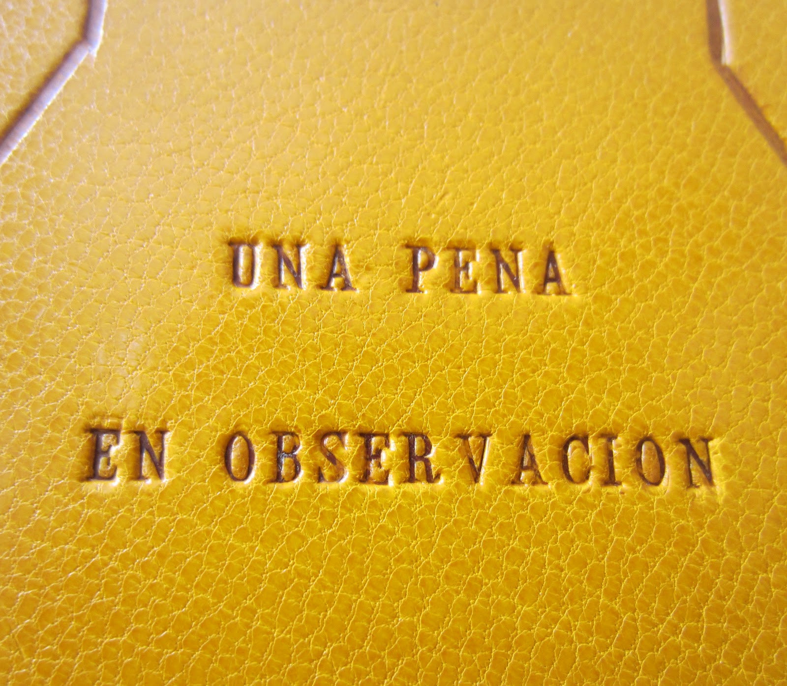 Encuadernalia: UNA PENA EN OBSERVACION