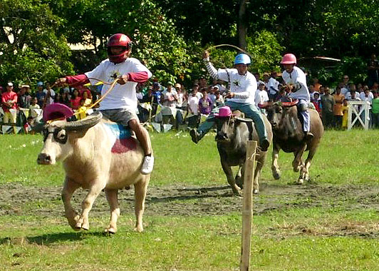 The Drive and Grind: Aurora Day 2011