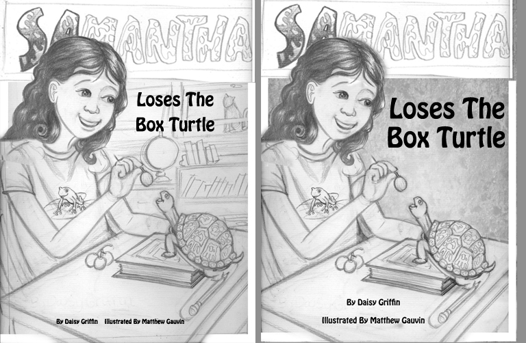 MG Children's Book Illustrations: Samantha Loses The Box Turtle Chapter ...