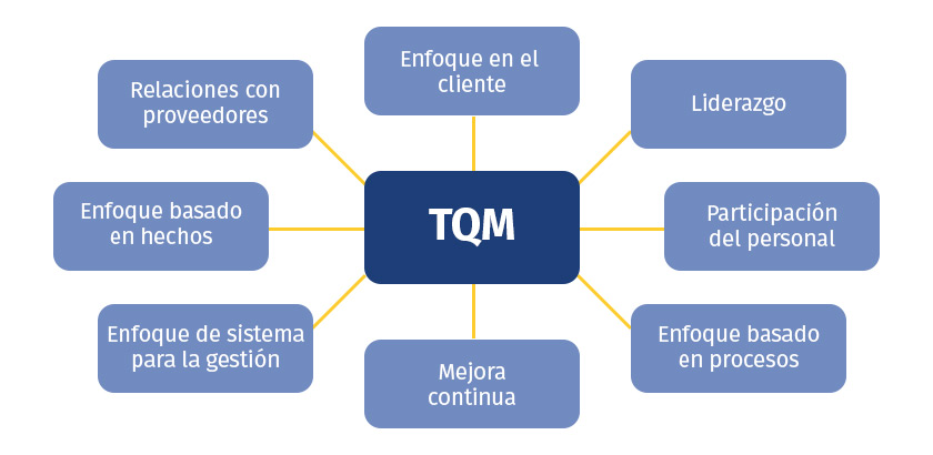 Gestión de la Calidad Total en los procesos de una organización.