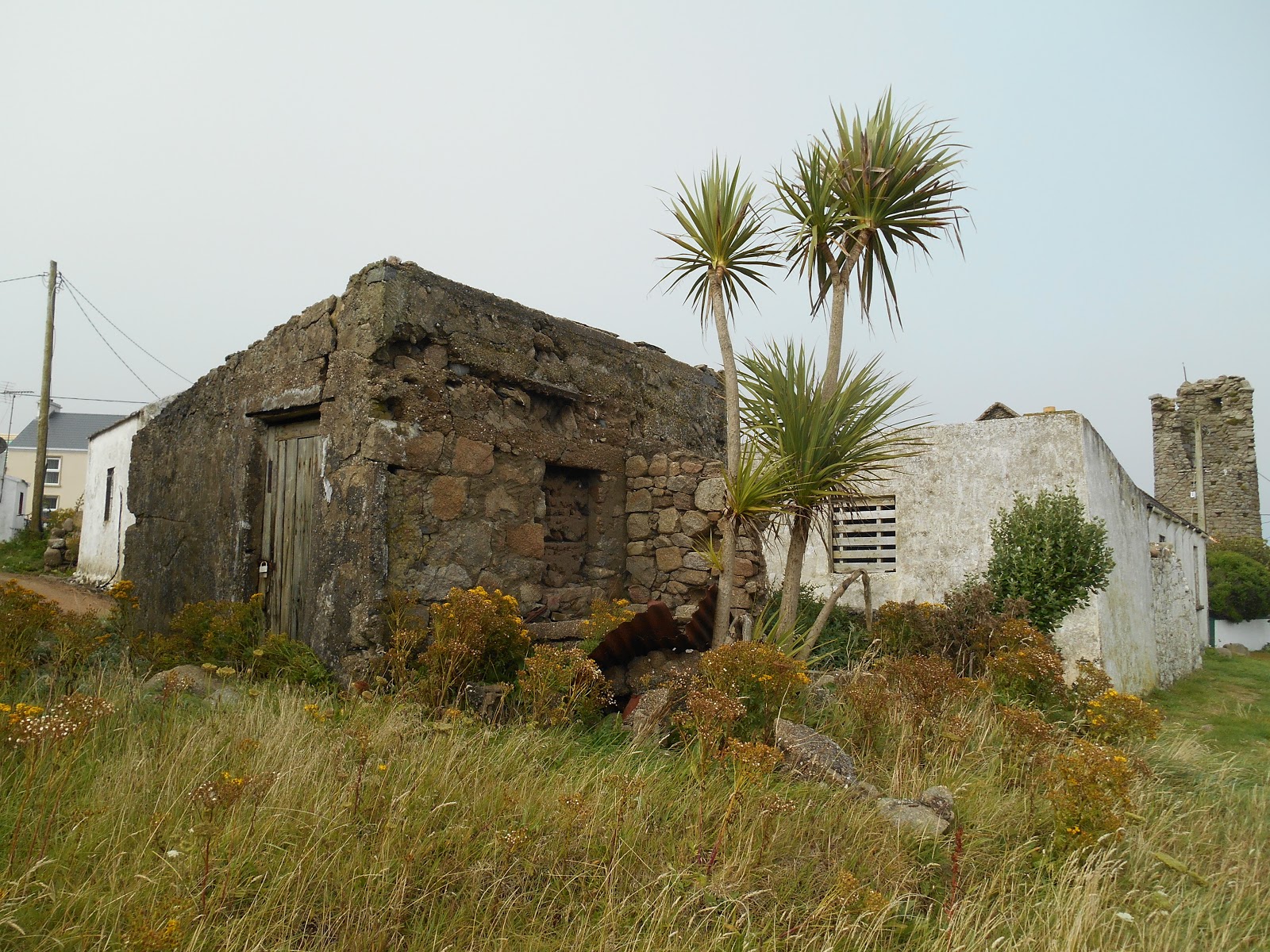 A lifetime of Islands: Island 394 - Tory Island/Toraigh, County Donegal ...