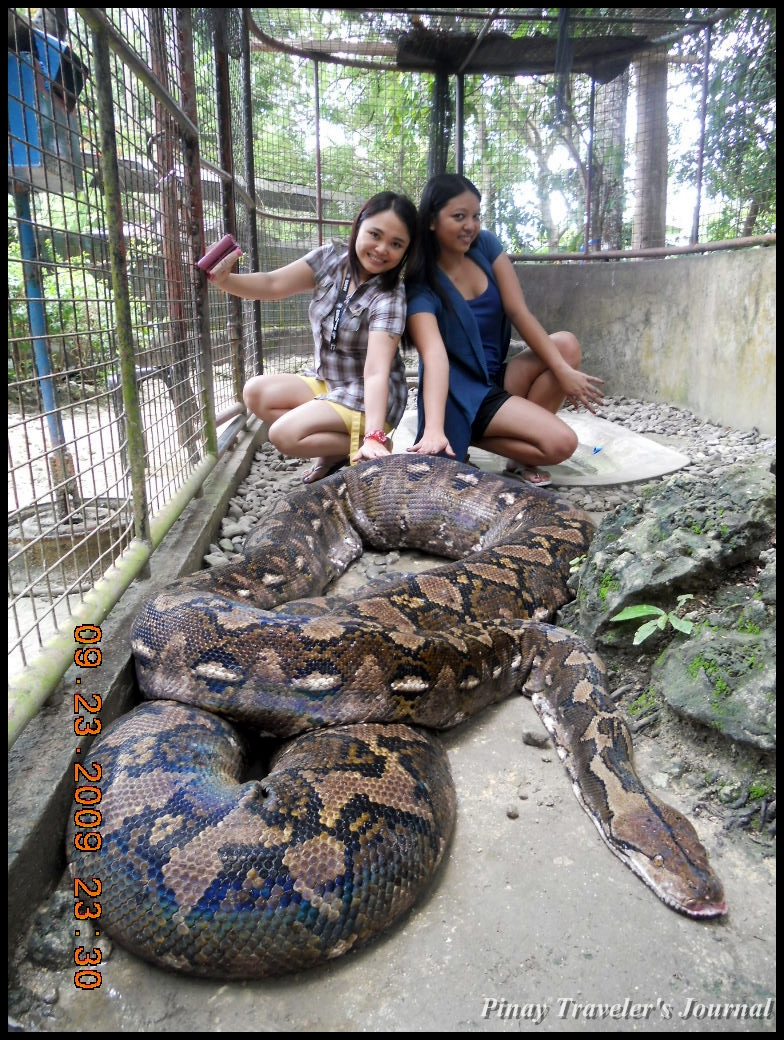 Wanderful Pinay: Prony the Python in Alburquerque | Frolics in Bohol