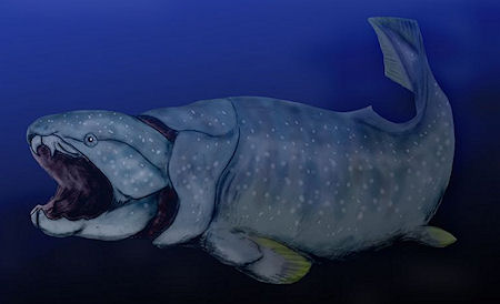 The Presurfer: Ancient Armored Fish Had The First Teeth