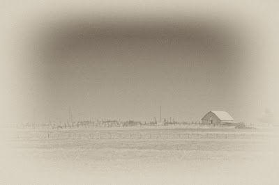 Dust Bowl Echoes: "You are filled with dirt."