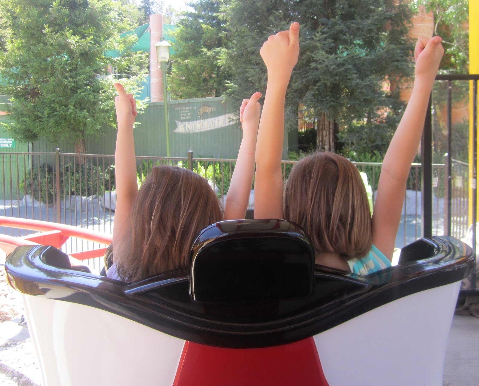 Sarah's blog: A Day At Magic Mountain - Photo story