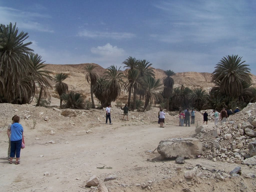 CRISTÃO NO MUNDO: OASIS DE ELIM