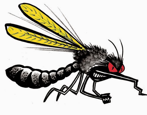 BIBOCA AMBIENTAL : NO MUNDO DOS INSETOS, PARA QUE SERVE O PERNILONGO?