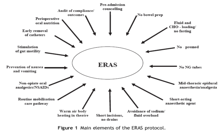 Avances en gestión clínica: Fast-track surgery ¿Una nueva revolución ...