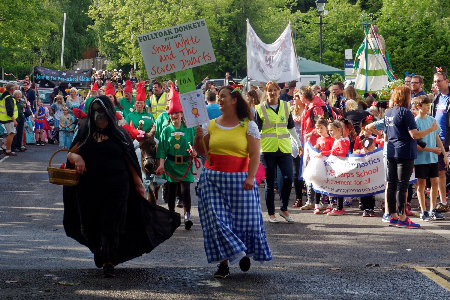 Michael Goodes: Farnham Carnival Send Off