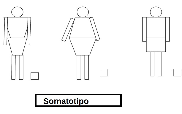 CUIDADOS ARTESANOS DEL CUERPO Y LA MENTE: BALANCE MORFOESTÁTICO ...