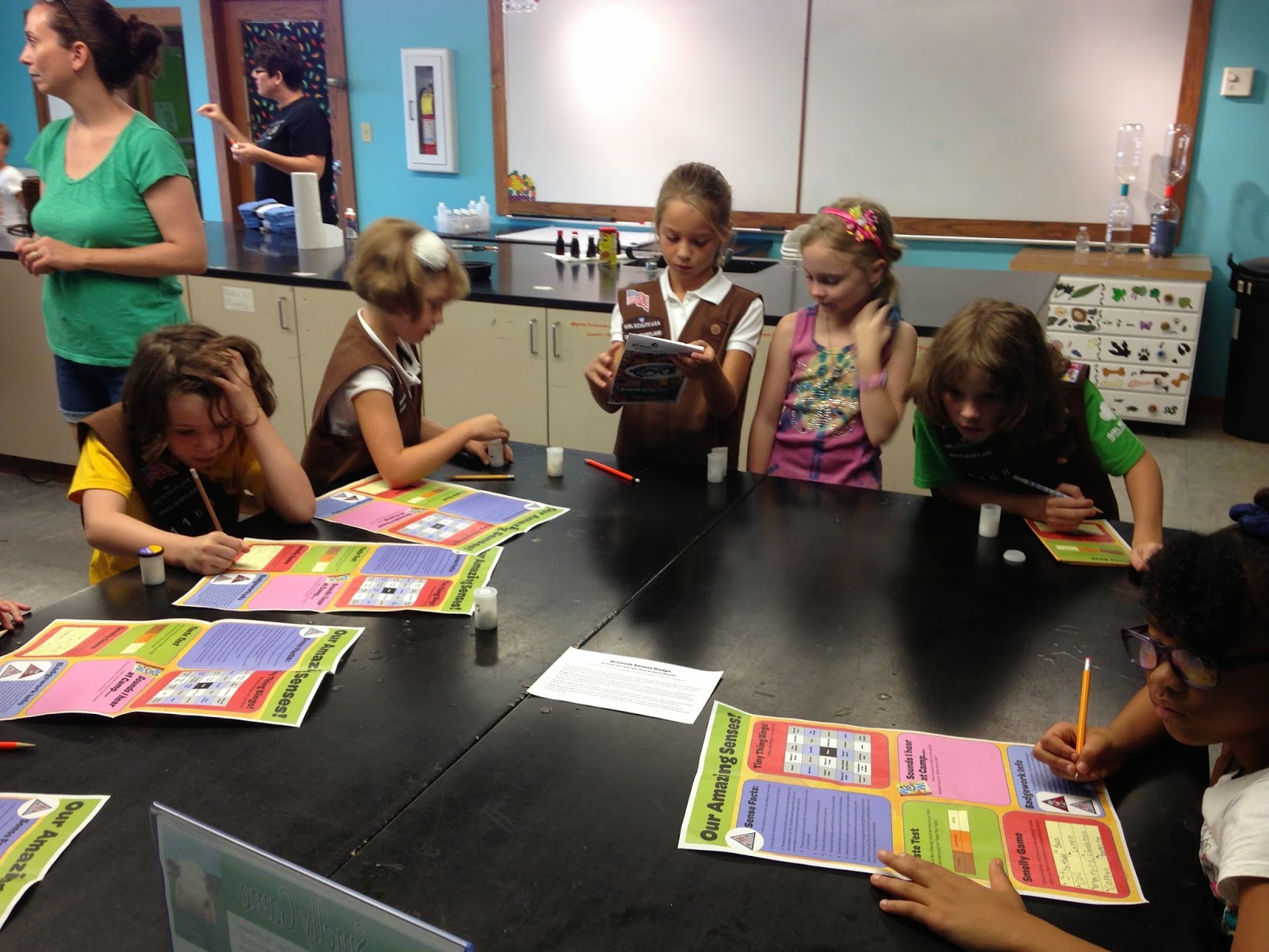 A Crafty Chick: Brownie Outing: Skill Building Badges - Home Scientist ...