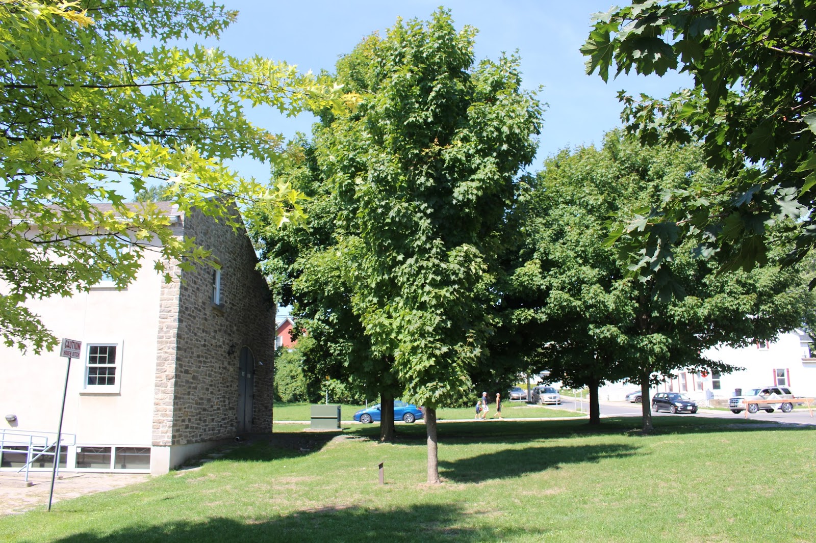 Memorials in Ottawa: Dr. Dorothea Kulis Tree