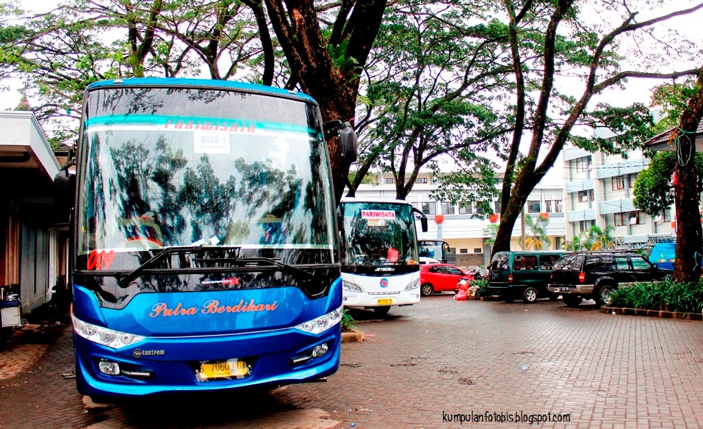 Foto Bis Putra Berdikari Scorpion X | Blognya Busmania