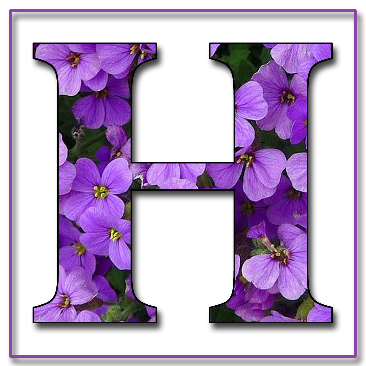 Capital+Letter+H+Free+Scrapbook+Alphabet+Purple+Flowers.jpg (1200×1200 ...