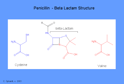 Getting to Know Your Amino Acids: Valine