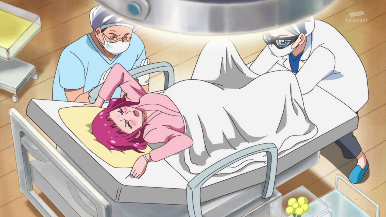 Hall Of Anime Fame Hugtto Precure Ep 49 Final A New Life A New Future