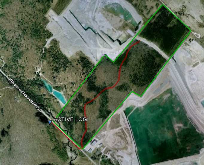 Hiking in Ontario: Cox Tract - Halton Regional Forest