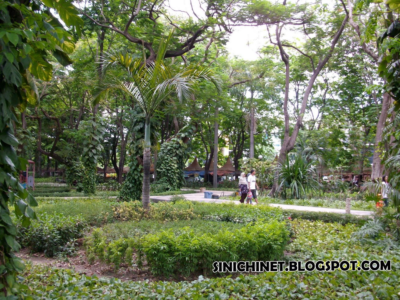 Taman Flora (Kebun Bibit) Bratang Surabaya | SINICHINET