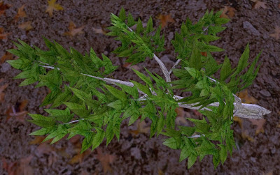 Wonderful Places in LOTRO's Middle Earth: Wood in Lotro - and where to ...