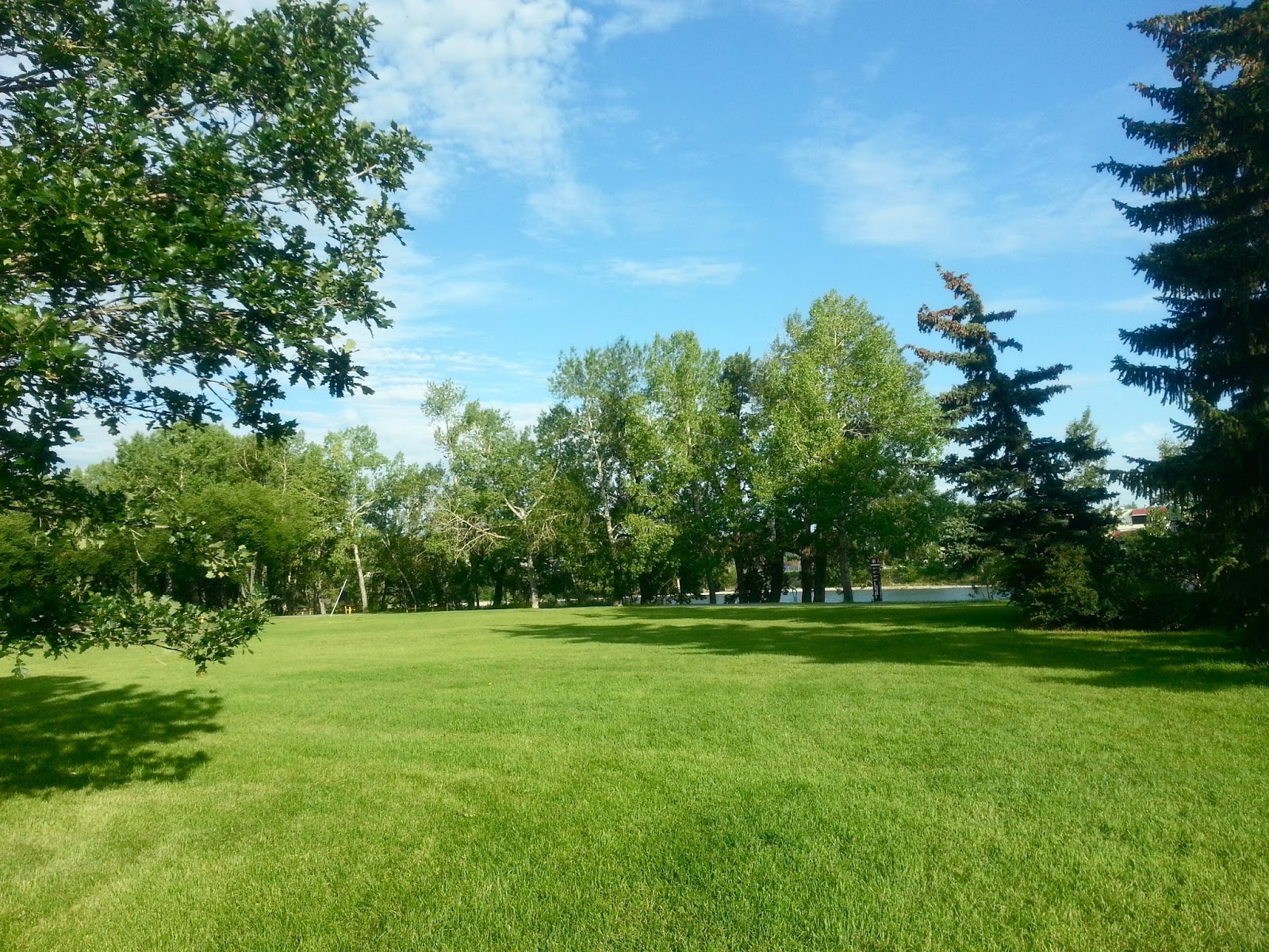 Walking Calgary: Shouldice Park