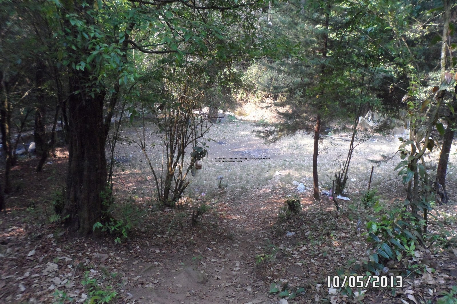 TENANCINGO HISTORIA Y TRADICIONES: LA MALINCHE EN ACATZINGO DE LA ...