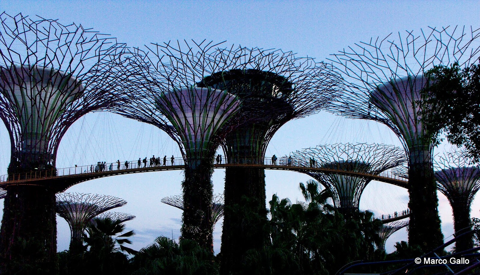 Vivir viajando: BOSQUE ARTIFICIAL. SINGAPUR