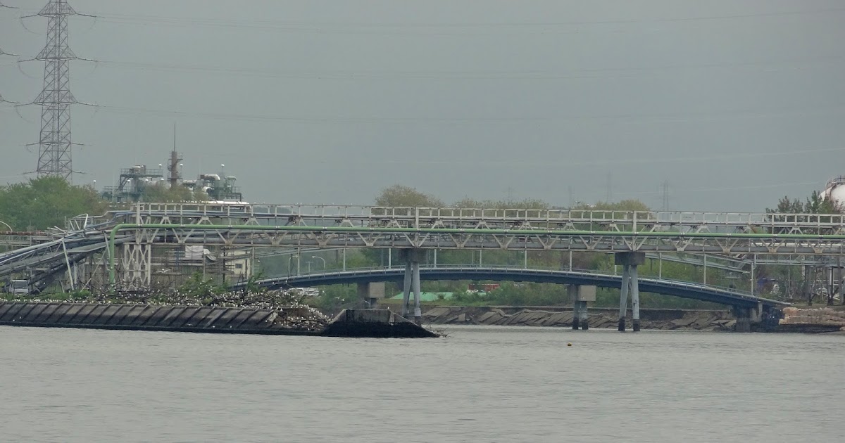 Bridge of the Week: Japan's Bridges: Sendai Port Bridges