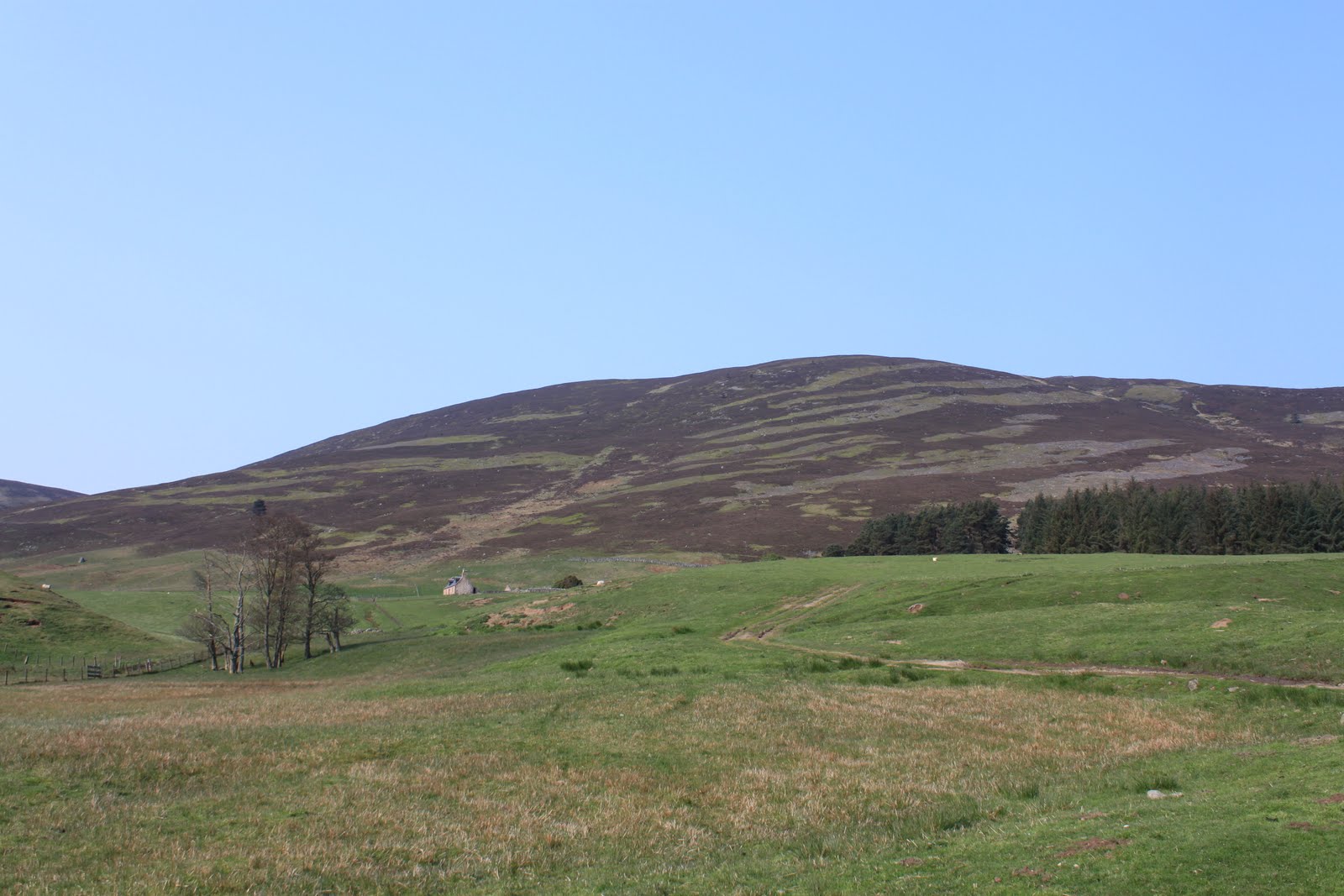 Walking in the North East of Scotland: Morven from Logie Coldstone