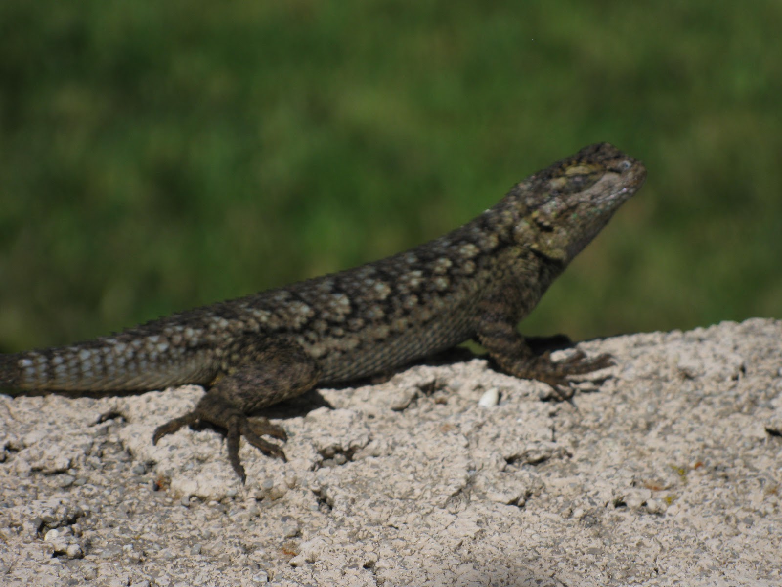 In the Eye of a Storm: The Invisible Illness