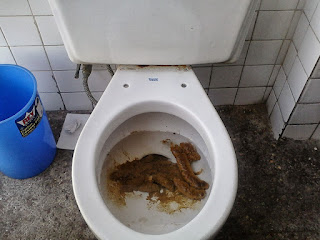 Fotos Inodoro con Caca – Imagenes Impresionantes