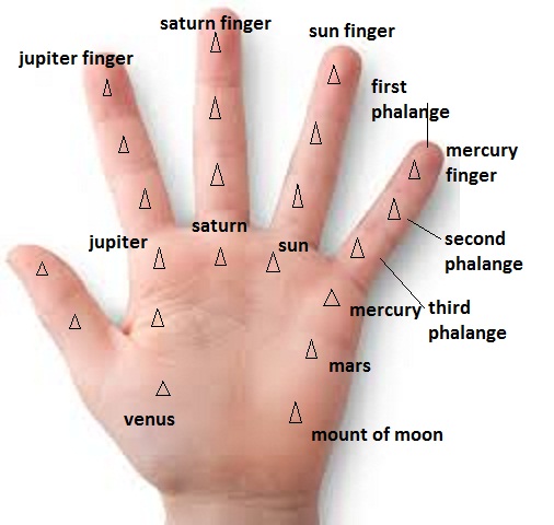 Bhartiya Jyotish: Significance of "Triangle Sign" in the palm