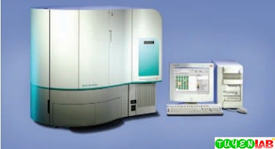 [Microbiology] Atlas of Antimicrobial Susceptibility Testing | Free ...