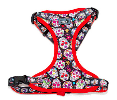 Celebrating Halloween Safely with Dogs! | Australian Dog Lover