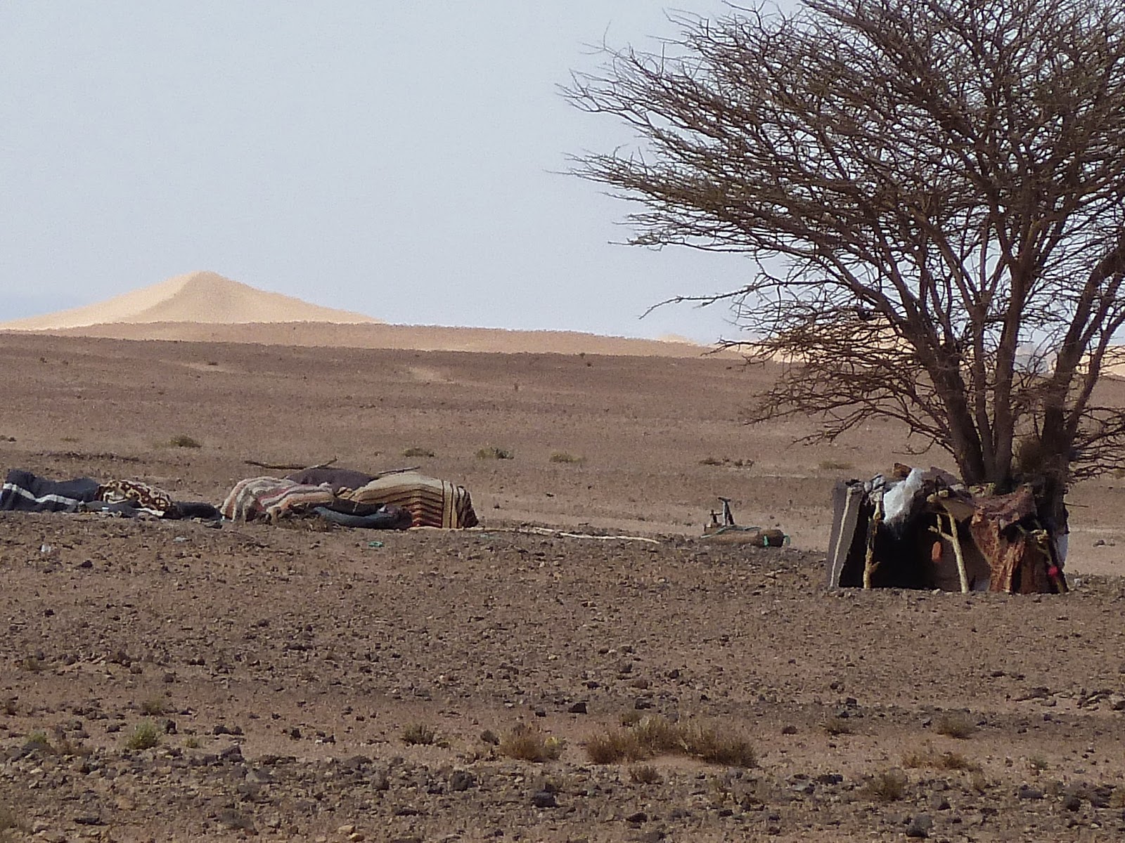 Multitasker: Down in the Moroccan sub-Saharan desert