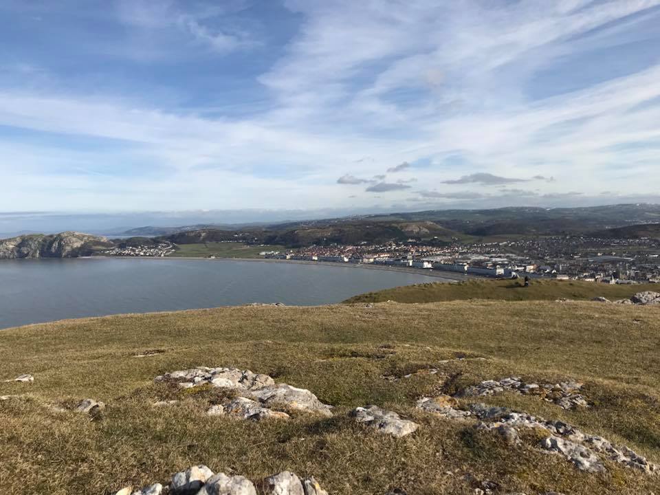 Erasmus Arad - Colwyn Bay