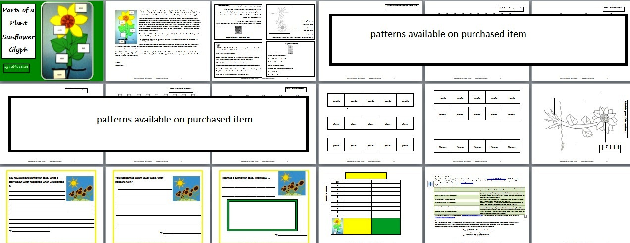 Glyphs For Kids: Spring Glyphs for Kids: Parts of a Plant Glyph ...