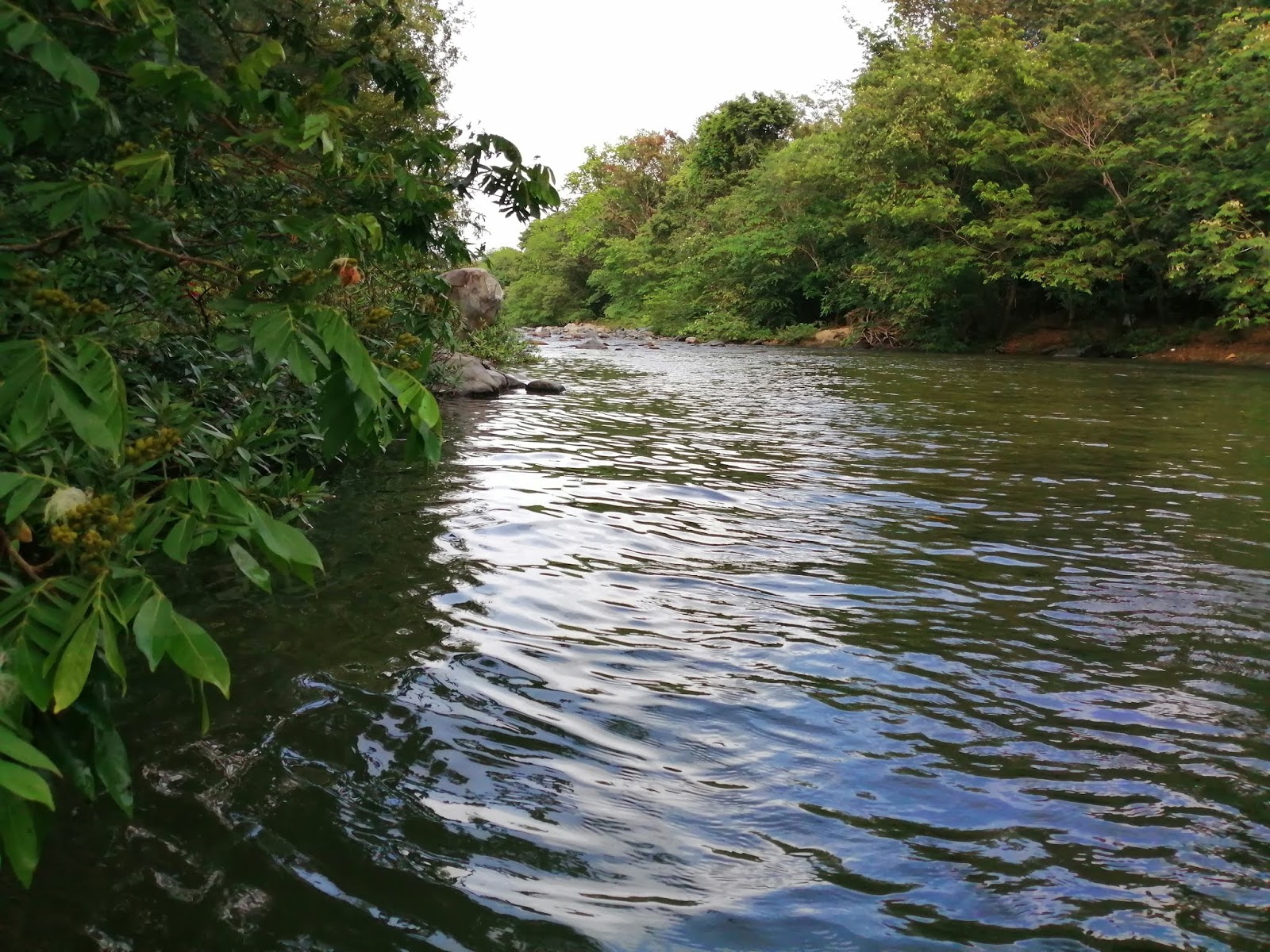 Turisteando con Alex: Río El Carriazo (Panamá Este)